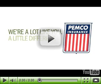 Northwest Ladybug: Pemco Insurance: The fly on our wall
